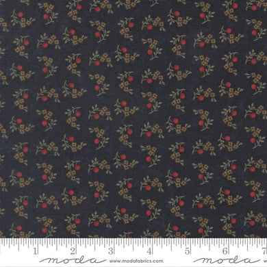 9834 14 Quail Run Indigo