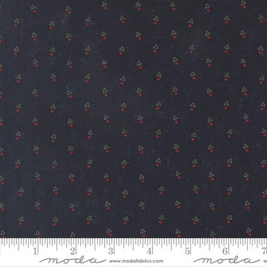 9836 14 Quail Run Indigo